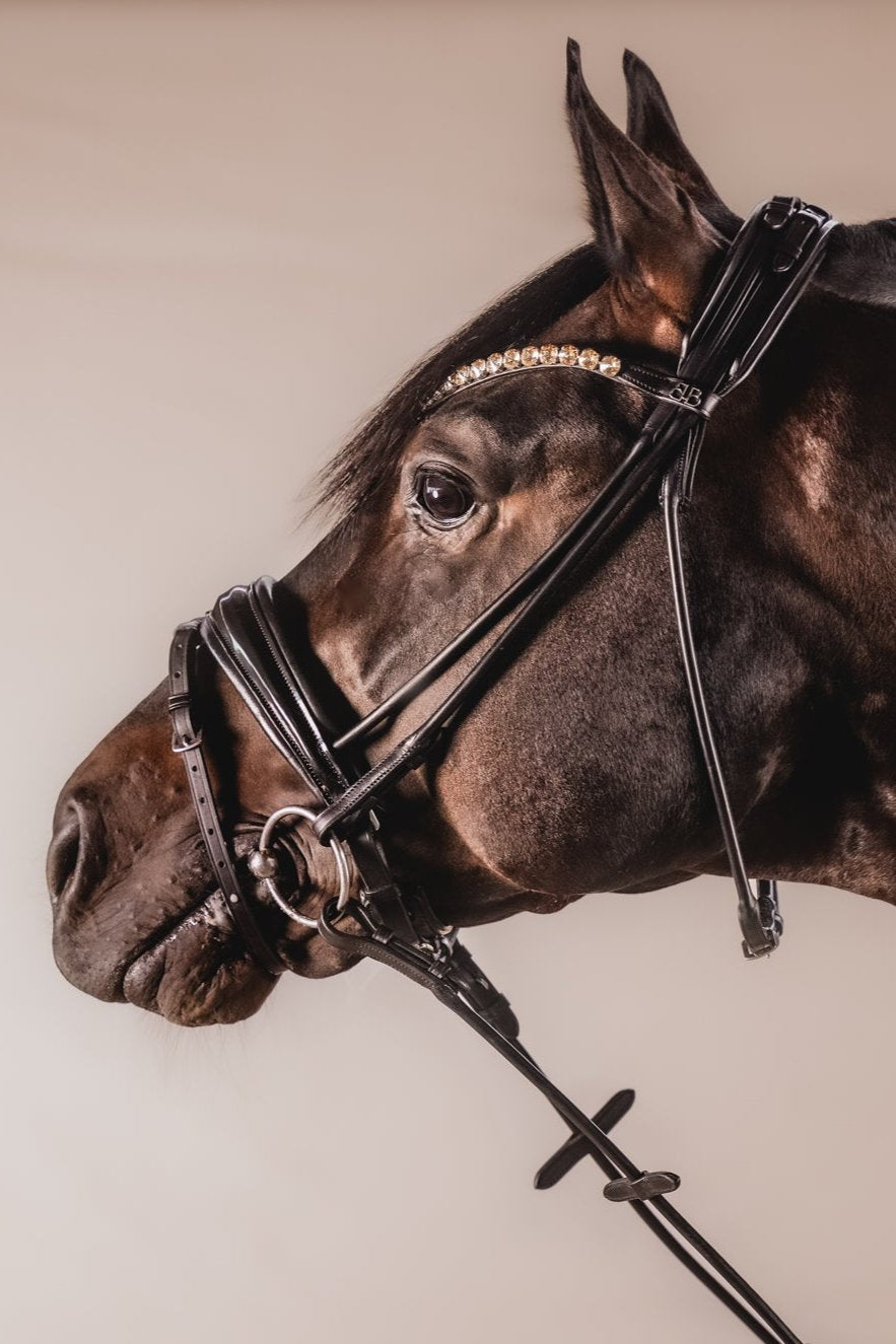 Brisque Bridlewear – Elevating equestrian excellence – BRISQUE GmbH