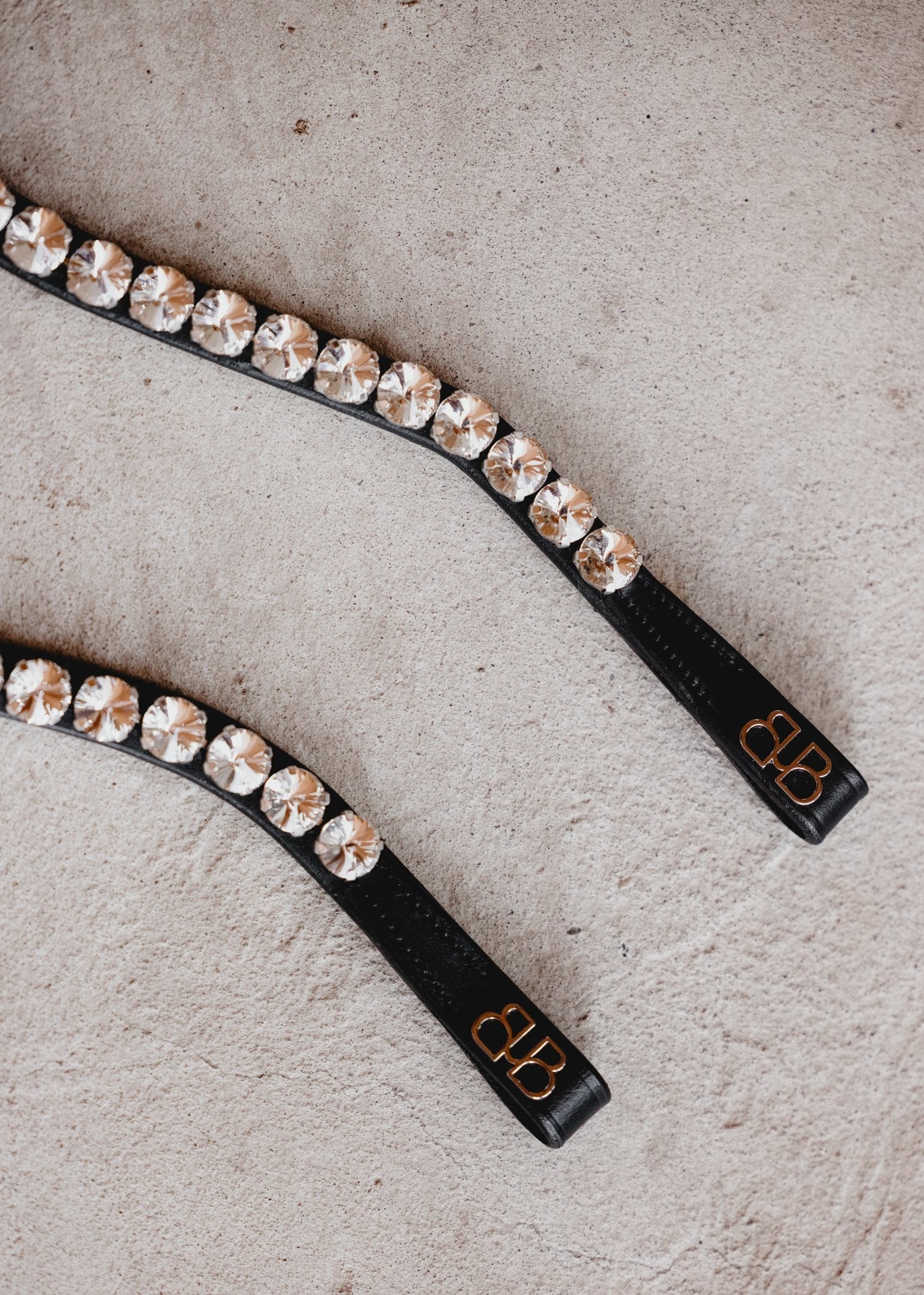 Wunschstirnriemen: Dein individuelles Design | Brisque Bridlewear ...