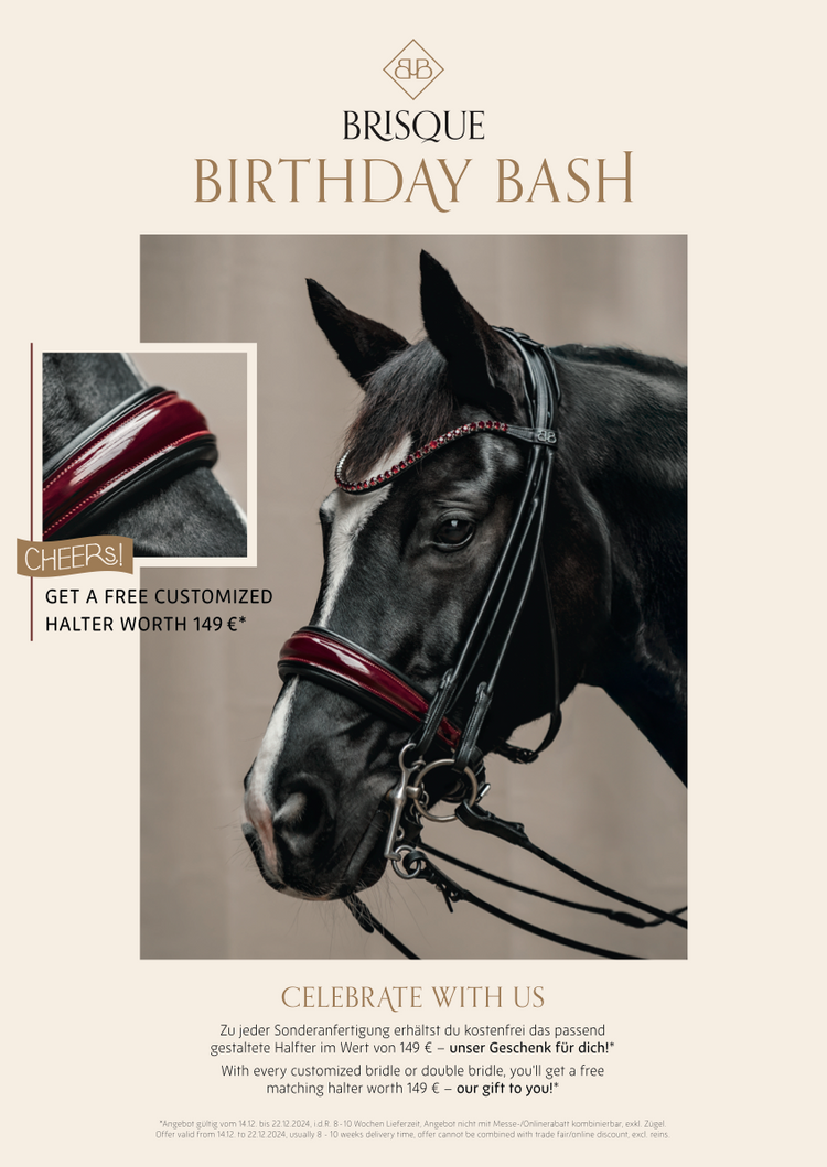 Brisque Bridlewear – Elevating equestrian excellence – BRISQUE GmbH