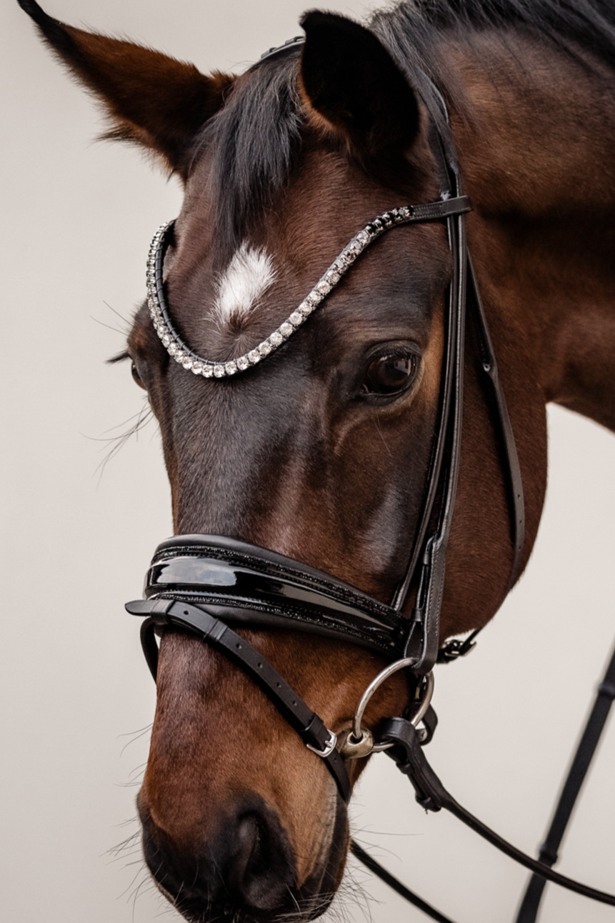 Brisque Bridlewear – Elevating equestrian excellence – BRISQUE GmbH