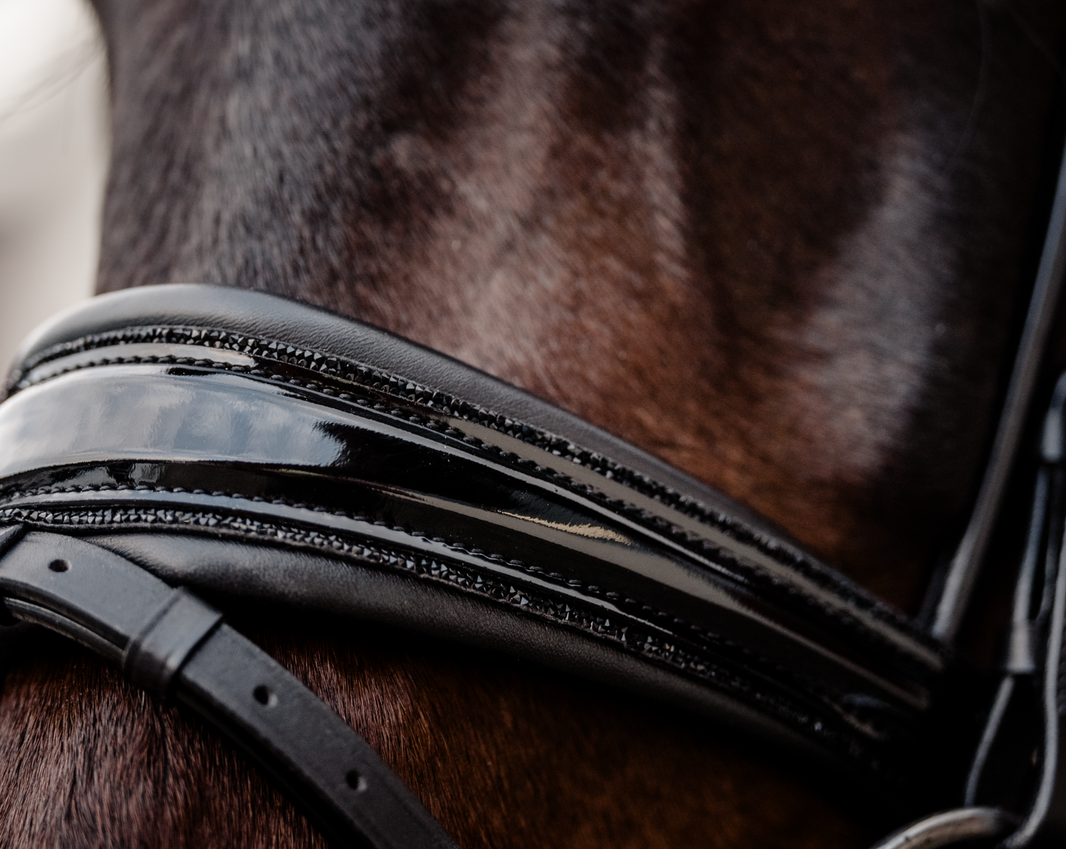 Brisque Bridlewear - Elevating equestrian excellence – BRISQUE GmbH