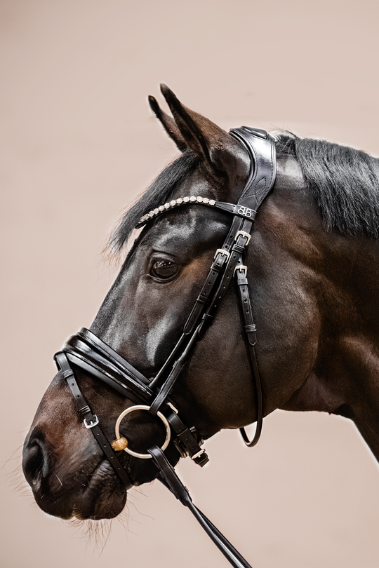 Brisque Bridlewear Elevating Equestrian Excellence Brisque Bridlewear